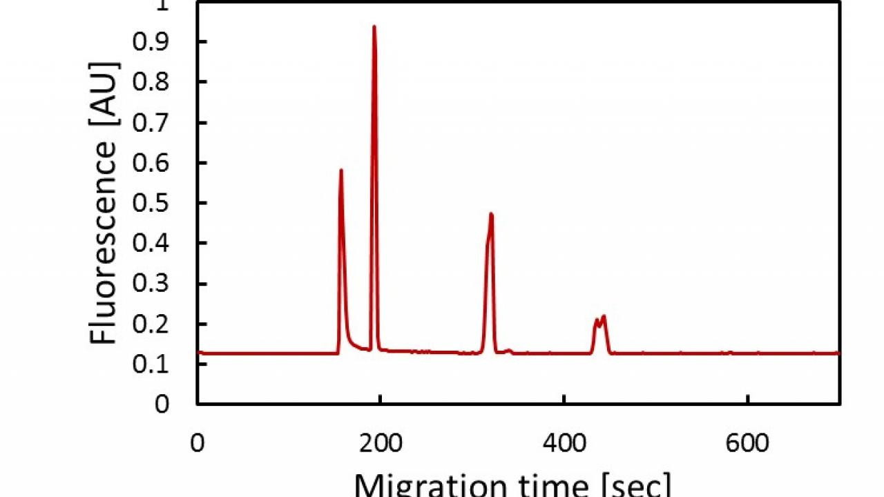 Capillary Electrophoresis | CRR